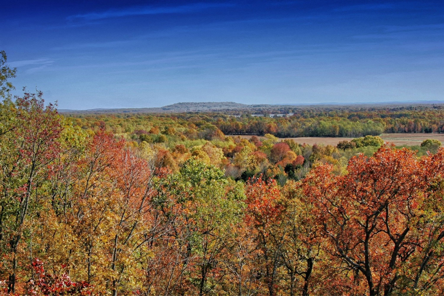 Best Places to See Gorgeous Fall Color in Arkansas - Somewhere In Arkansas