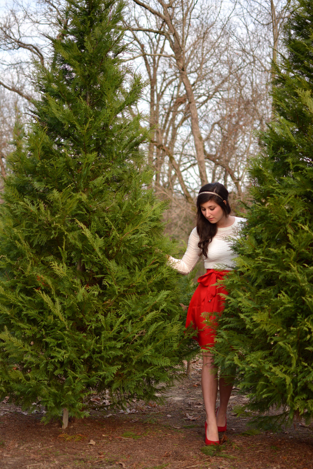 Magical Christmas Tree Farms in Arkansas - 2025 - Somewhere In Arkansas