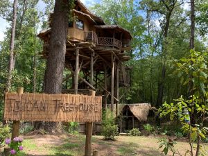 14 Beautiful Treehouse Cabins in Arkansas - Somewhere In Arkansas