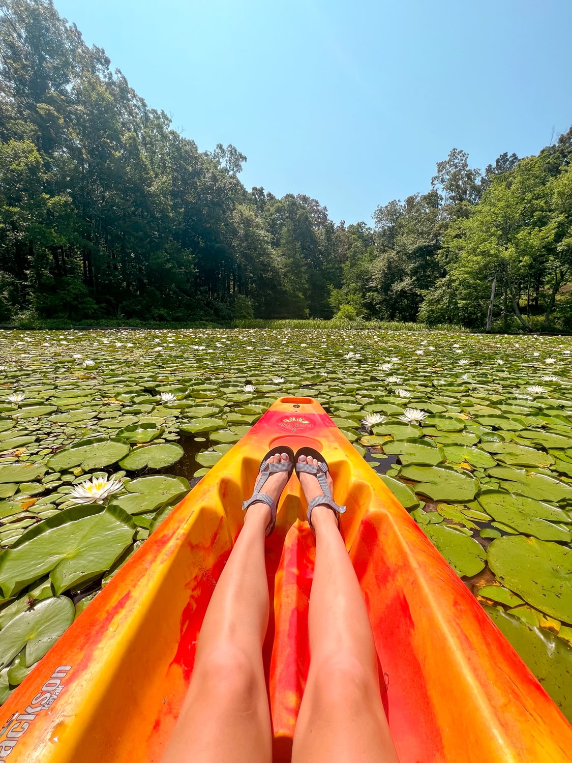 Exploring the Natural Beauty of Cane Creek State Park - Somewhere In ...