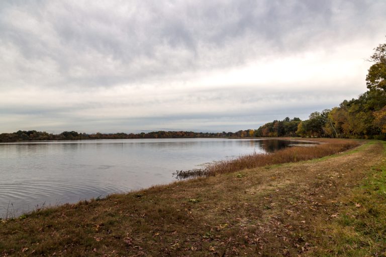 A River Creature in Arkansas? Legend of the White River Monster ...