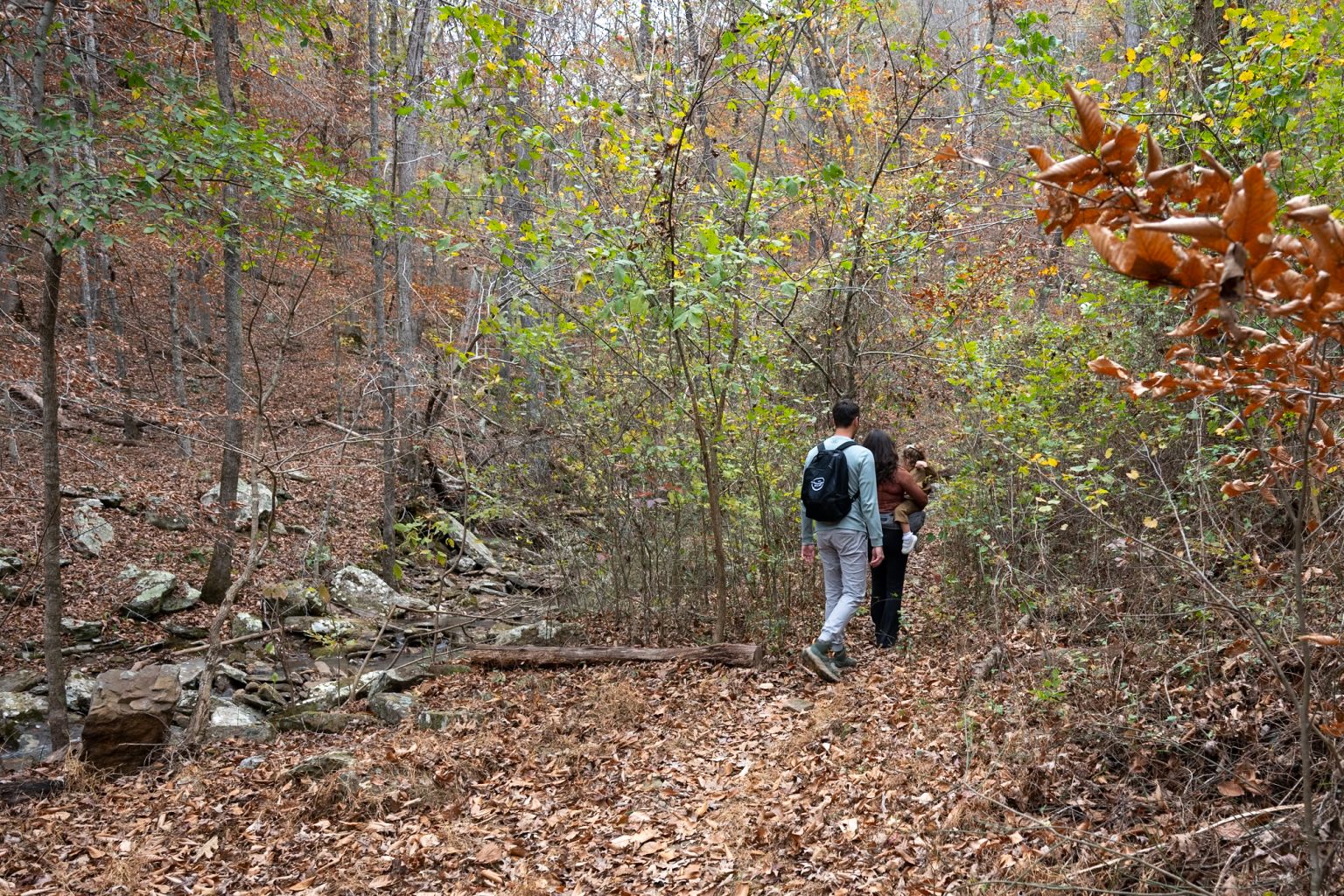 High Bank Twin Falls: A Short and Sweet Waterfall Hike in Arkansas ...