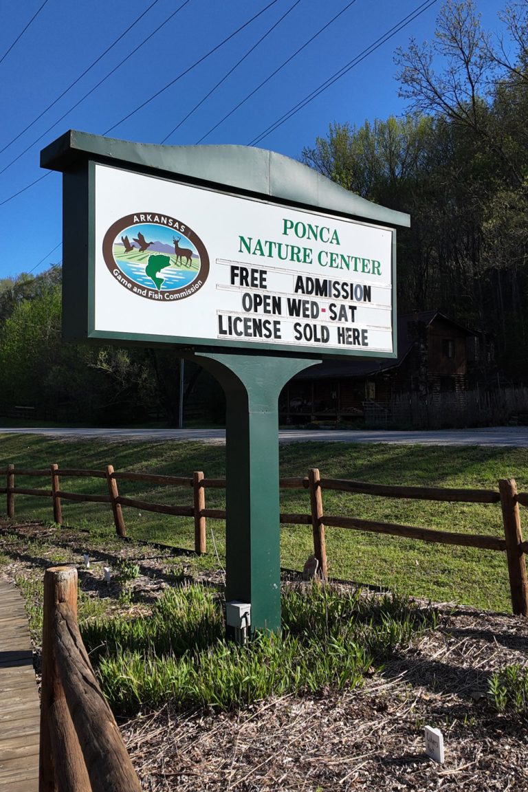 The Jasper Disaster: A Winding Road Trip Through the Arkansas Ozarks ...