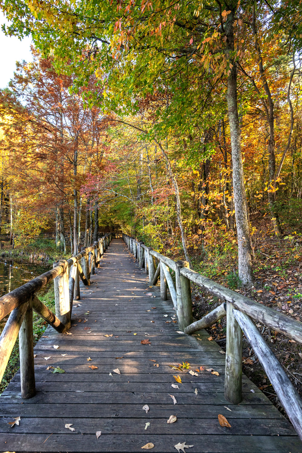 Plan Your Visit to Crowley's Ridge State Park - Somewhere In Arkansas
