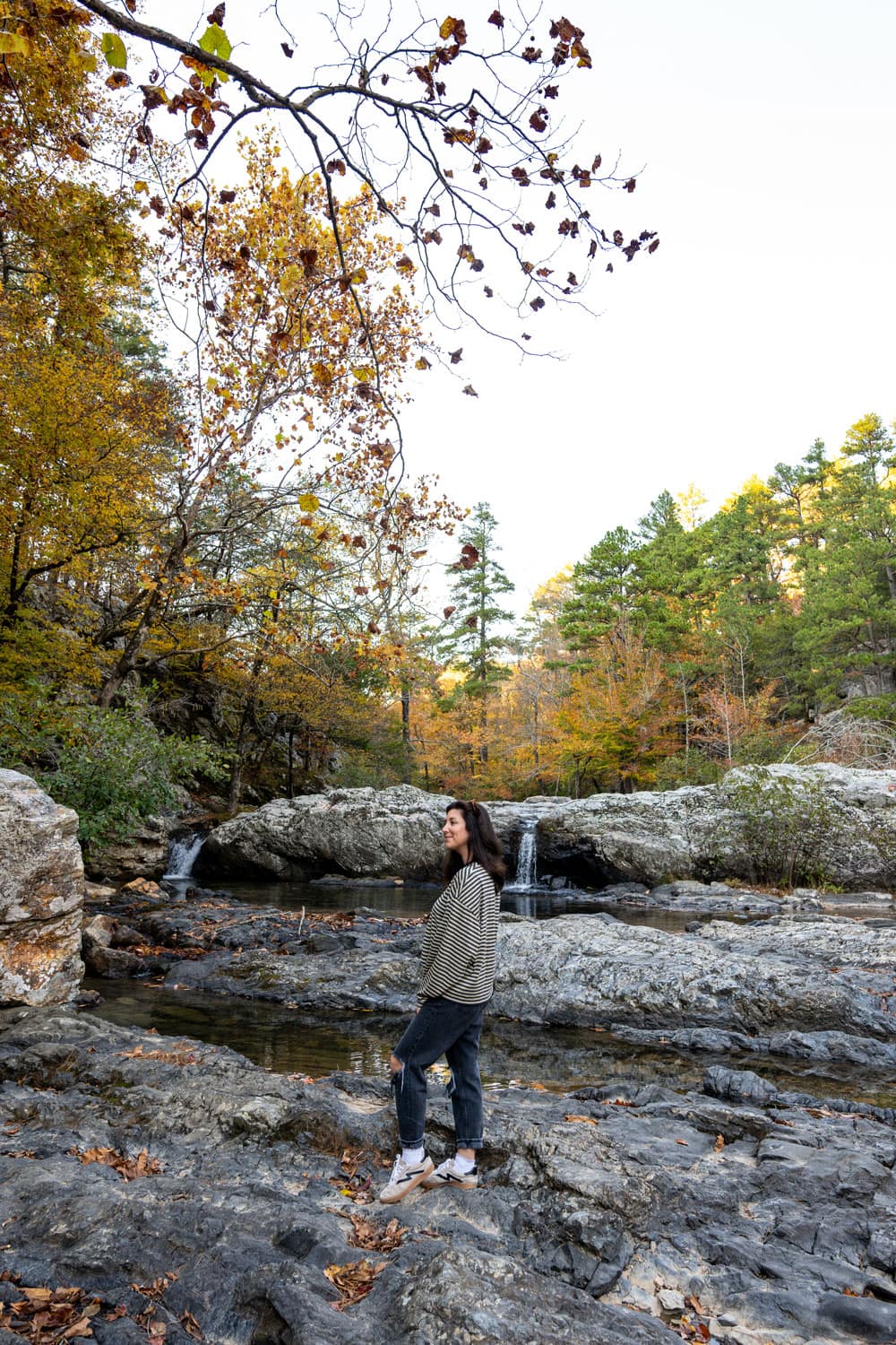 A Scenic Road Trip Through the Ouachita Mountains: From Mena to Rivers ...
