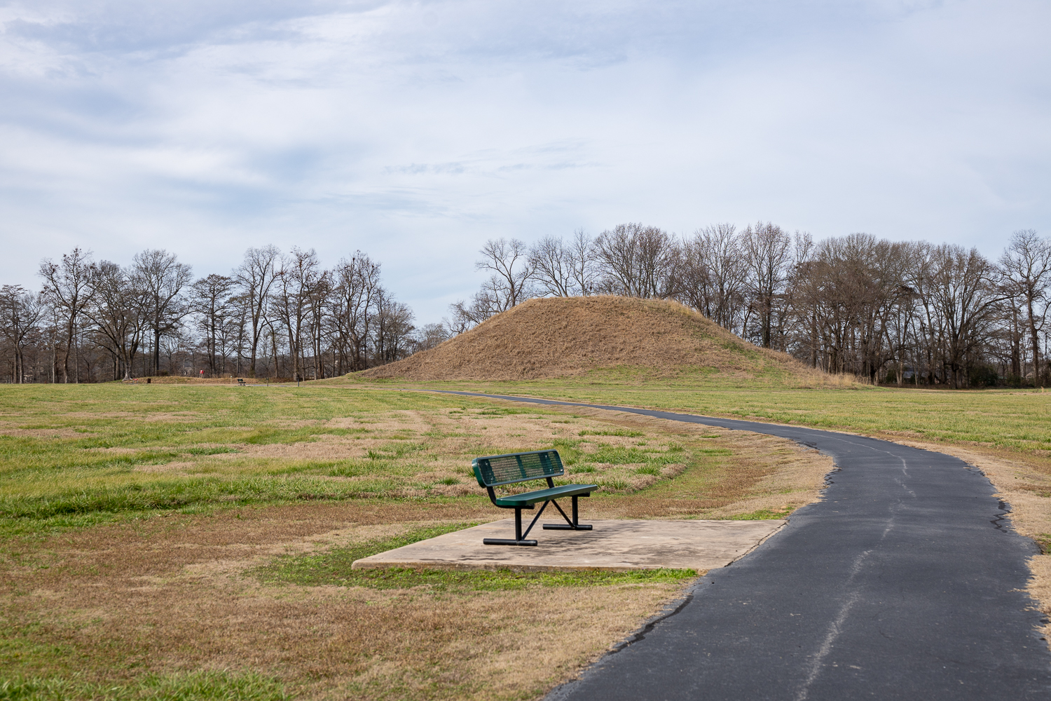 Discover the Ancient Heart of Arkansas at Plum Bayou Mounds ...