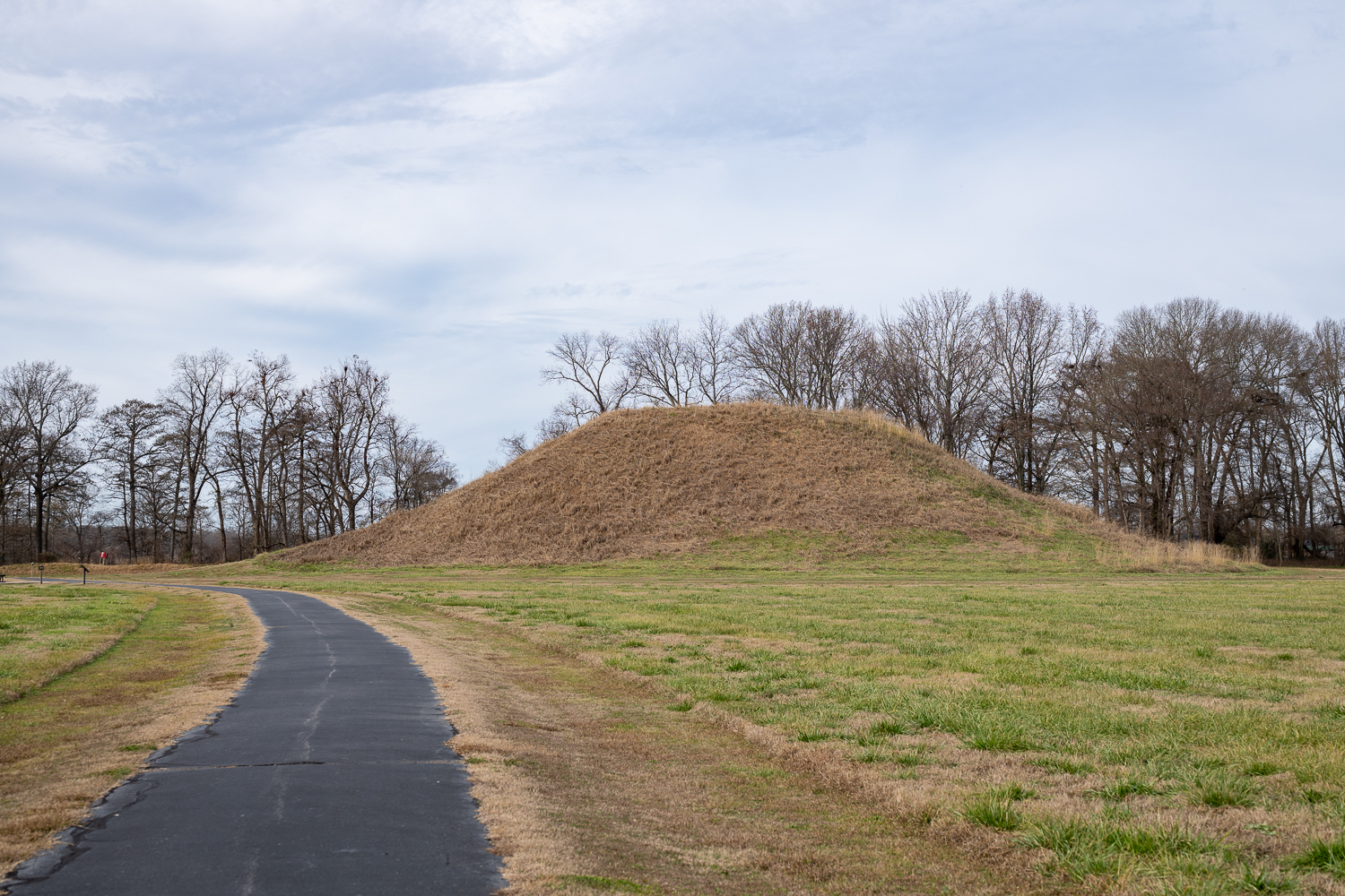 Discover the Ancient Heart of Arkansas at Plum Bayou Mounds ...
